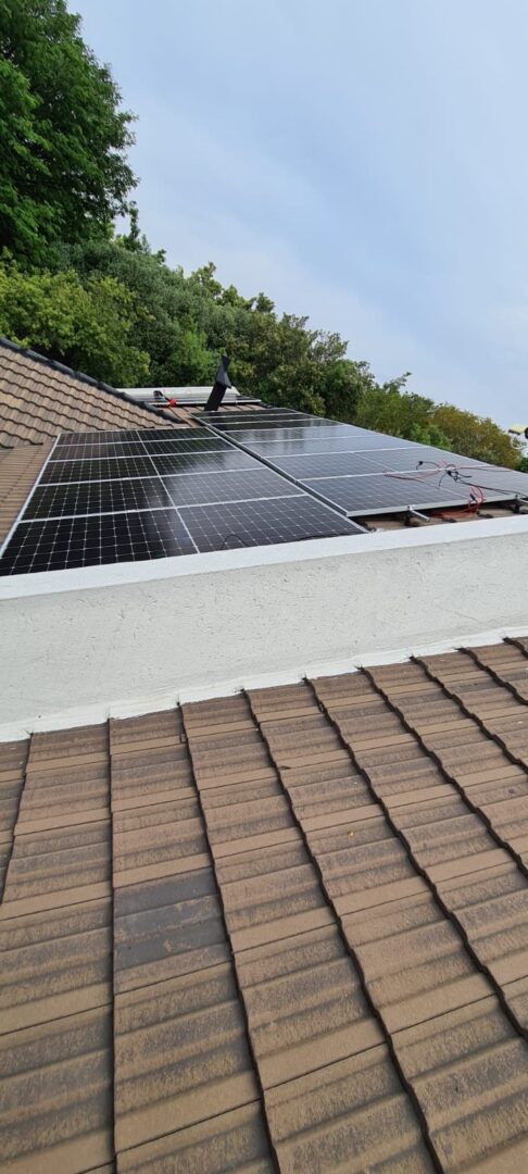 Gallery - Green Leaf Importers