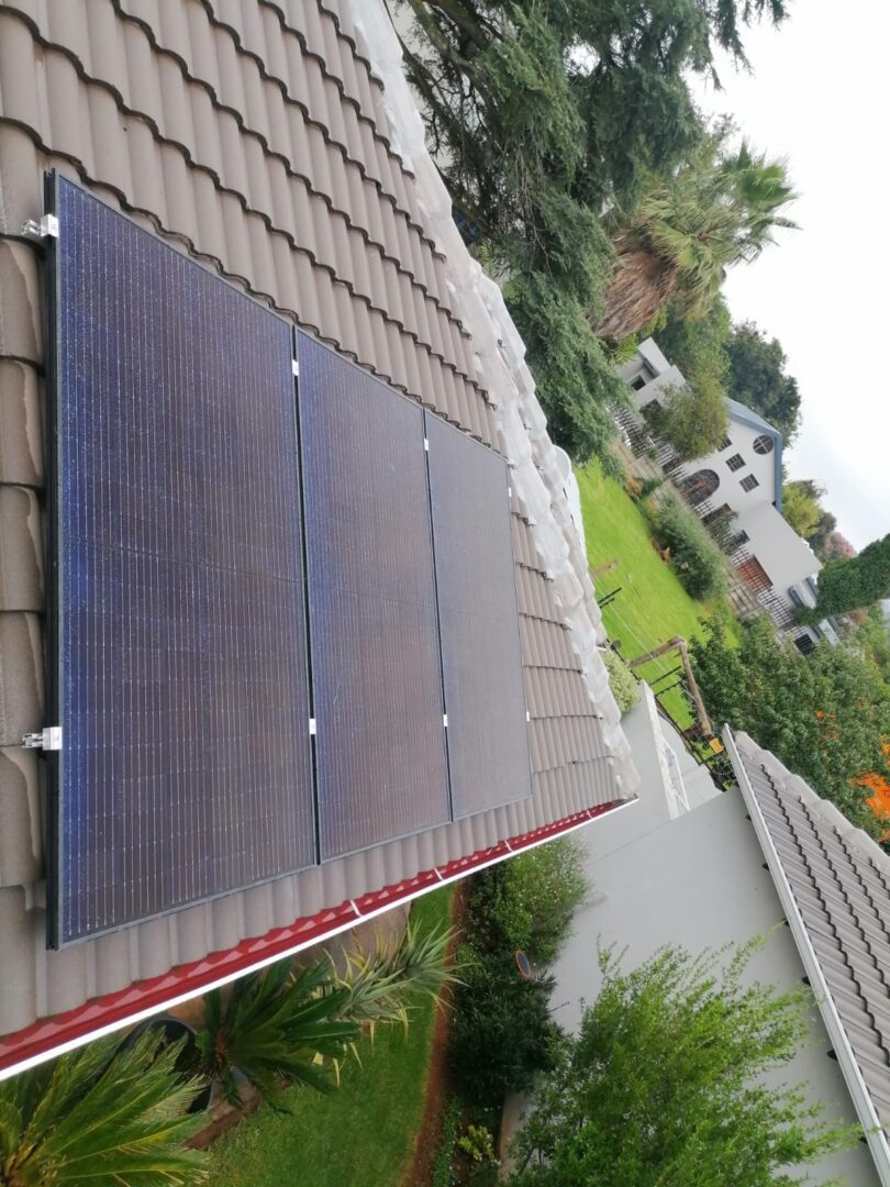 Gallery - Green Leaf Importers