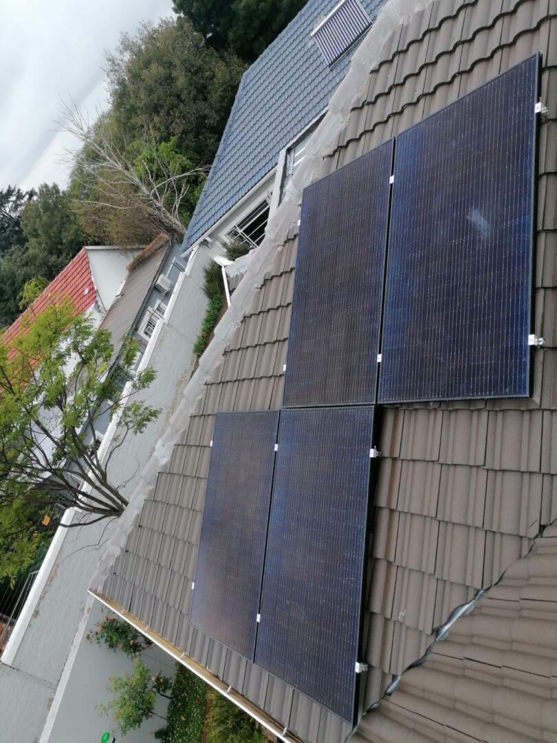 Gallery - Green Leaf Importers