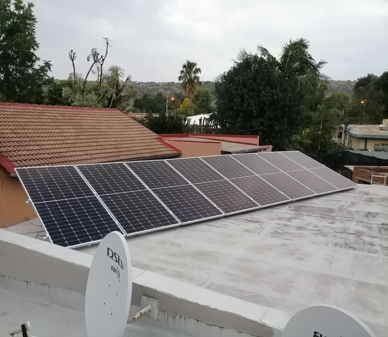 Gallery - Green Leaf Importers